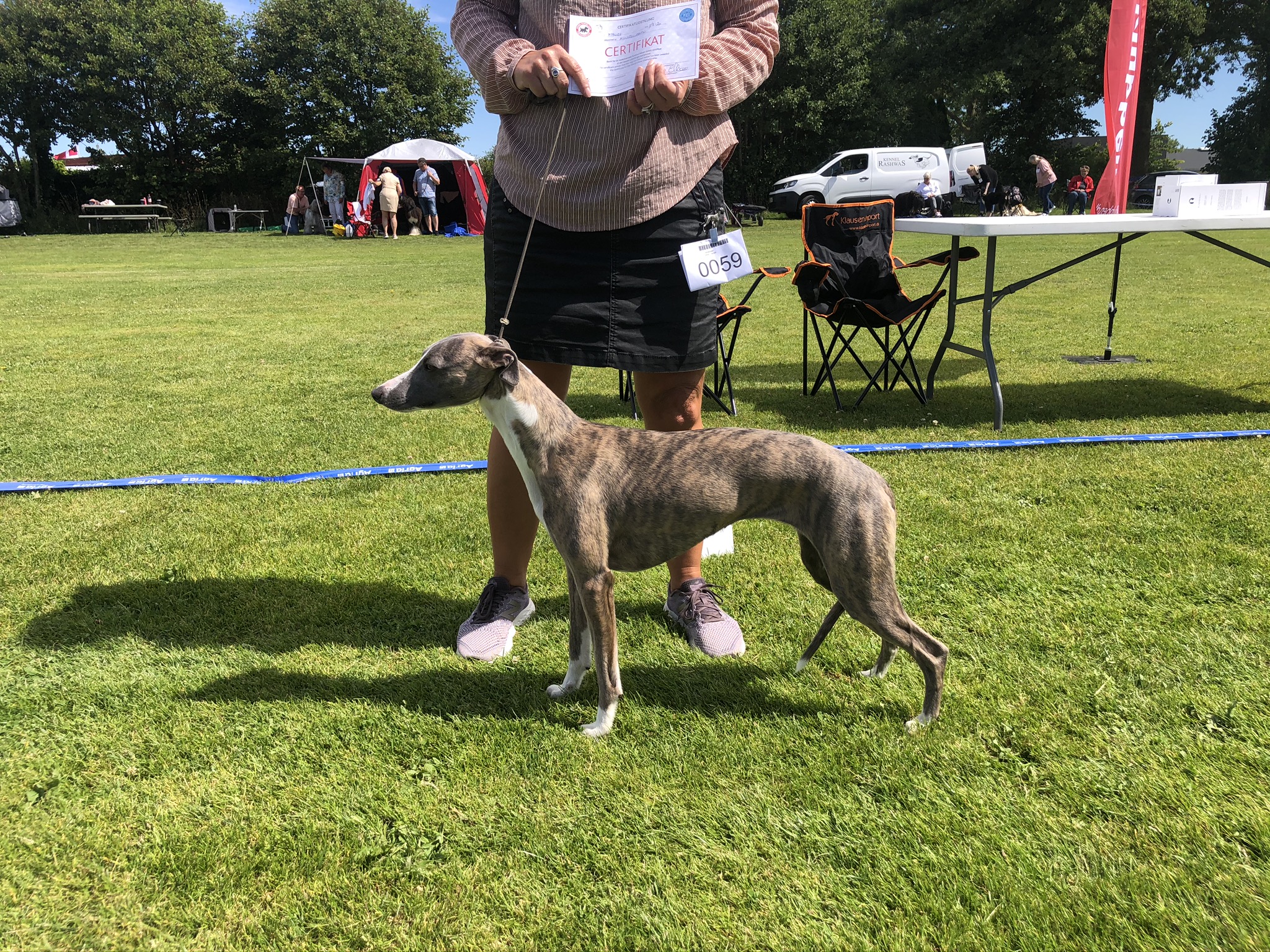 Kuld - Forår 2022 - Blue - Kennel Atlantic Breed